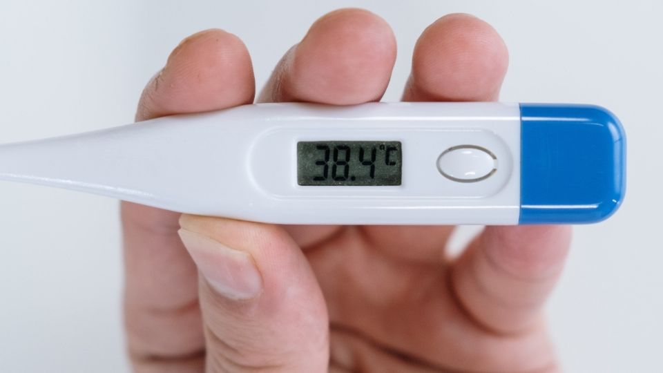 ¿Qué es el ántrax y cómo se contagia? | El Cuarto Poder